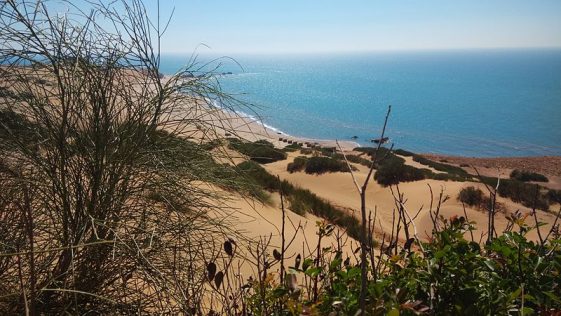 Top 10 des plus belles plages d’Algérie